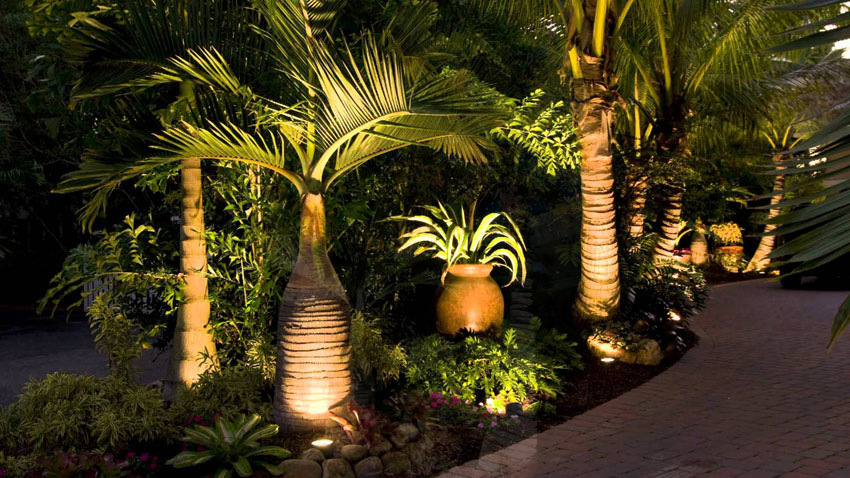 Outdoor landscape lighting in Fort Myers, Naples, Florida - Vision ...